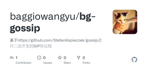 GitHub baggiowangyu bg gossip 基于https github com StefanKopieczek gossip进行二次开发的SIP协议栈