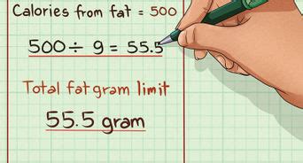 How To Calculate Your Total Daily Calorie Needs Steps