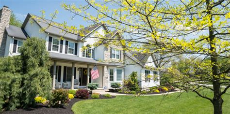Tree Identification Guide How To Identify Sycamore Tree Davey Tree