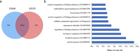Hepatic Core Transcriptomic Profiles In Fattening Lambs A Venn Diagram