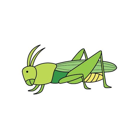 Grasshopper Illustration
