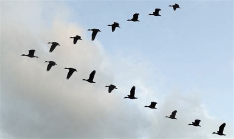 The Building Coder Migrating From Net 48 To Net Core 8