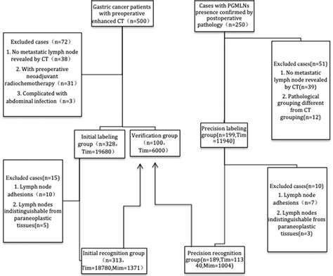 Deep Neural Network Assisted Computed Tomography Diagnosis O
