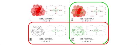 Adhesion Receptor Regulation Scenarios At The Beginning Of Simulations Download Scientific
