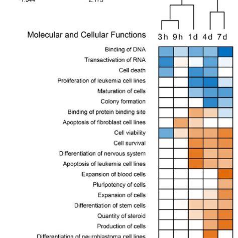 Hierarchical Clustering Of The Enriched Molecular And Cellular