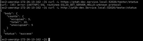 Aws Lightsail Container Service Private Domain Neterrnamenotresolved Stack Overflow