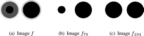 Figure 1 From Two Parameter Persistence For Images Via Distance