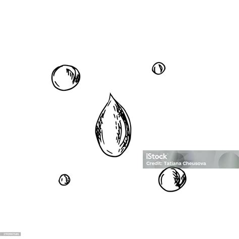 기름 방울 그래픽 스케치 흰색 배경에 손으로 그린 벡터 그림 제품 화장품 및 요리 디자인을 위한 라인 아트 건강한 생활방식에 대한 스톡 벡터 아트 및 기타 이미지 Istock