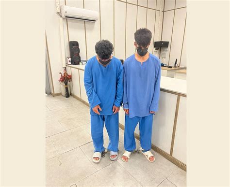 دستگیری سارقان تلفن همراه دانشجوی دانشگاه شهید بهشتی خبرگزاری آنا