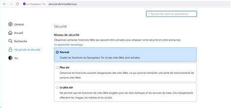 comment utiliser le navigateur tor tor browser