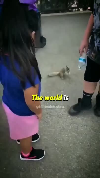 Mukesh M On Linkedin Heart Touching Video