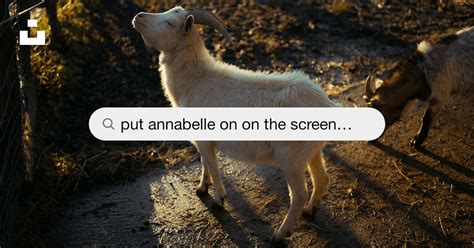 Put Annabelle On On The Screen And Show Calvin Pictures Download Free Images On Unsplash