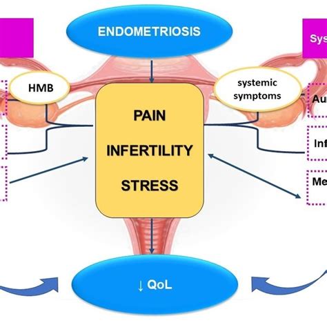 Gynecologic And Systemic Comorbidities In Patients With Endometriosis