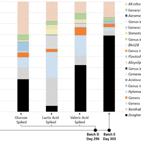 Zoogloea And Xanthobacter Dominate The Microbial Community After