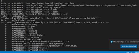 classification caffe terminate called after throwing an instance of