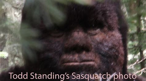 Bigfoot North Vlog From Todd Standing Discussing Various Sasquatch Topics Youtube