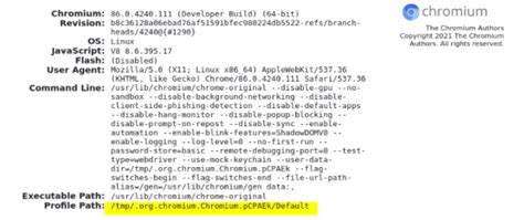 Selenium Roboframework Seleniumlibrary Set Specific User Profile