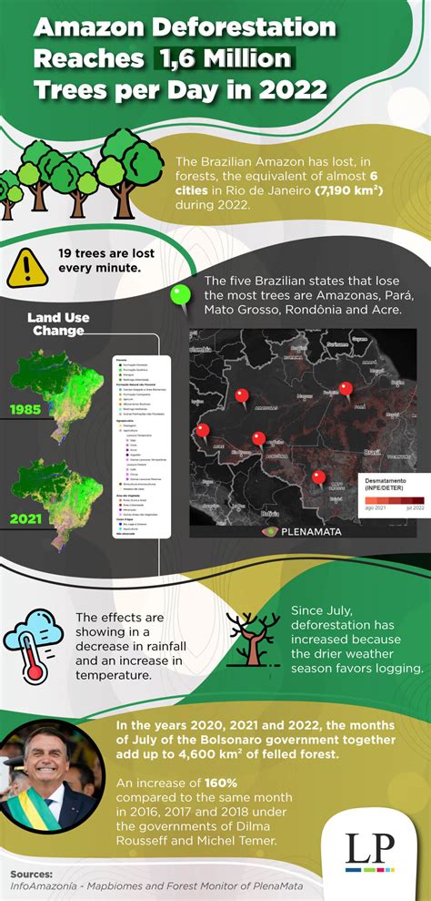 Infographic Amazon Deforestation Reaches 1 6 Million Trees Per Day In