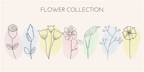 봄의 꽃 요소 컬렉션 선형 디자인의 야생화를 특징으로합니다 배경에 고립 된 수채화 반점이있는 벡터 일러스트 레이 션 개체 그룹에 대한 스톡 벡터 아트 및 기타 이미지