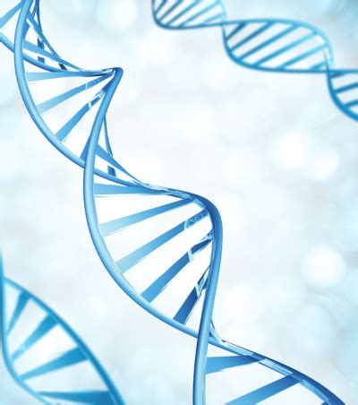 genetic testing and mito mito foundation