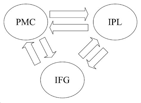 The Basic Dynamic Causal Modeling Dcm Model For The Dcm Across