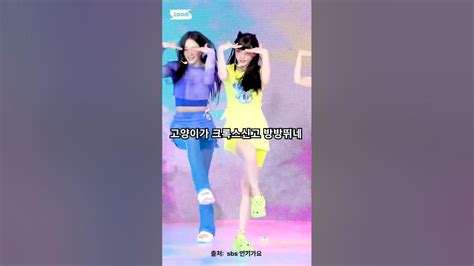 크록스 고양이🤭😍 해린고양이 뉴진스해린 Youtube