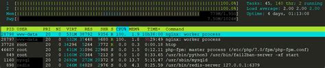 err connection timed out nginx fails 100 cpu v3 easyengine community forum