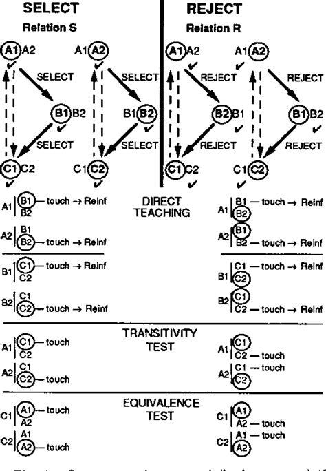 Figure 6 From Conditional Discrimination And Equivalence Relations A Theoretical Analysis Of
