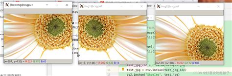 Pytorch进阶学习（三）：在数据集数量不够时如何进行数据增强pytorch数据增强 Csdn博客