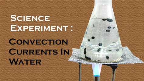 Convection Currents Backyard Experiments