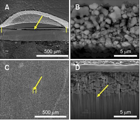 Cross Section Lini 13 Co 13 Mn 13 O 2 Samples Are Prepared By Cp Download Scientific