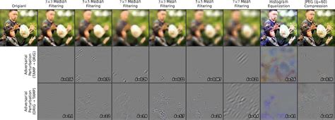 Table From Tuning Neural ODE Networks To Increase Adversarial Robustness In Image Forensics