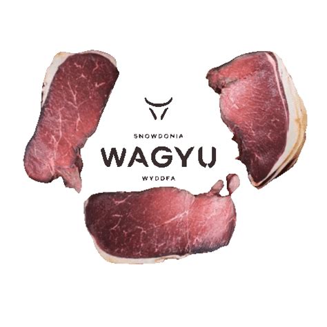 Snowdonia Wagyu S On Giphy Be Animated