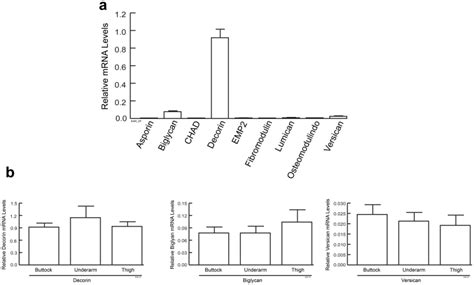 A Relative Levels Of Proteoglycan Transcripts In Sun Protected