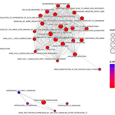 Enrichment Analysis Using The Hallmark Collection From The Msigdb Dot