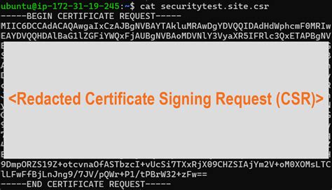 How To Install An Ssl Certificate On Nginx Ubuntu Manually Or Automatically