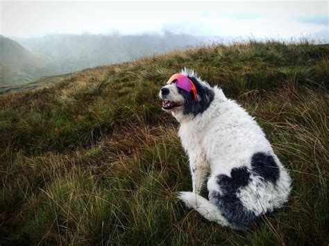support jamie jamie s munro challenge