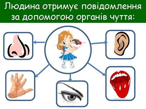 Інформація дані повідомлення Інформаційні процеси Урок 5 Online