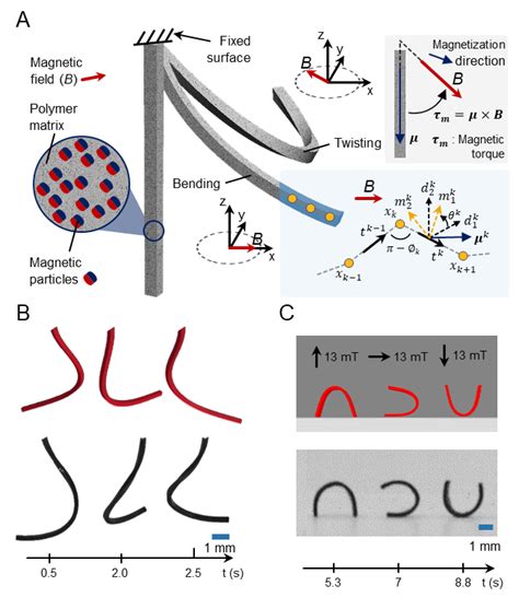 Physics Based Computationally Efficient Simulation Of Magnetic Soft Robots Physical