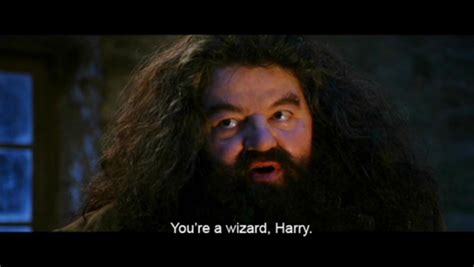 Image 316990 Youre A Wizard Harry Know Your Meme