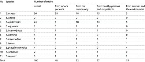Identification Of Staphylococcus Strains Download Table