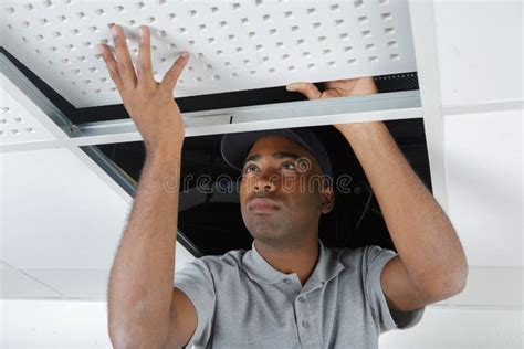 Man Fixing Ceiling Stock Image Image Of Electrician 239075795