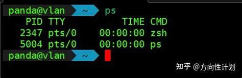 Shell更多bash Shell命令linux基础shell篇03 知乎 Shell更多bash Shell命令linux基础shell篇03 知乎