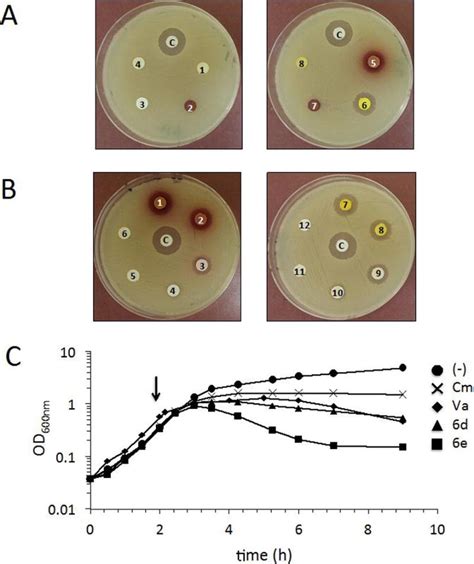 The Rational Design Synthesis And Antimicrobial Properties Of Thiophene Derivatives That