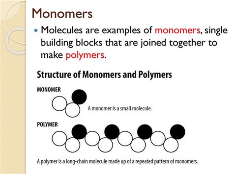 Biological Molecules Carbon Compounds Ppt Download