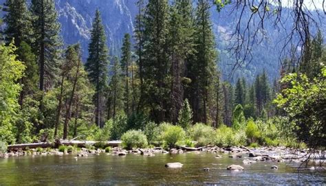 Choosing A Javascript Framework