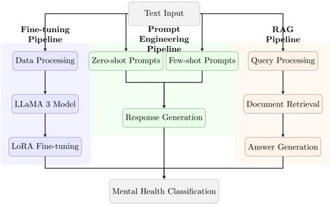 논문 리뷰 A Systematic Evaluation of LLM Strategies for Mental Health Text Analysis Fine tuning