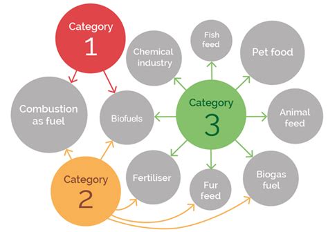 Food By Product Processing CLARUS