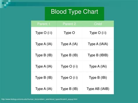PPT Example Of Multiple Alleles PowerPoint Presentation Free Download ID