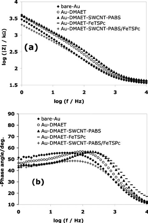 Nyquist Plots Obtained In ͓ Fe ͑ Cn ͒ 6 ͔ 3− 4− In 0 1 M Kcl At The Download Scientific Diagram